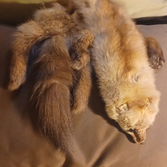 Furs by Robert Detroit | Jackets & Coats | Vintage 95s Mink 2 Full ...